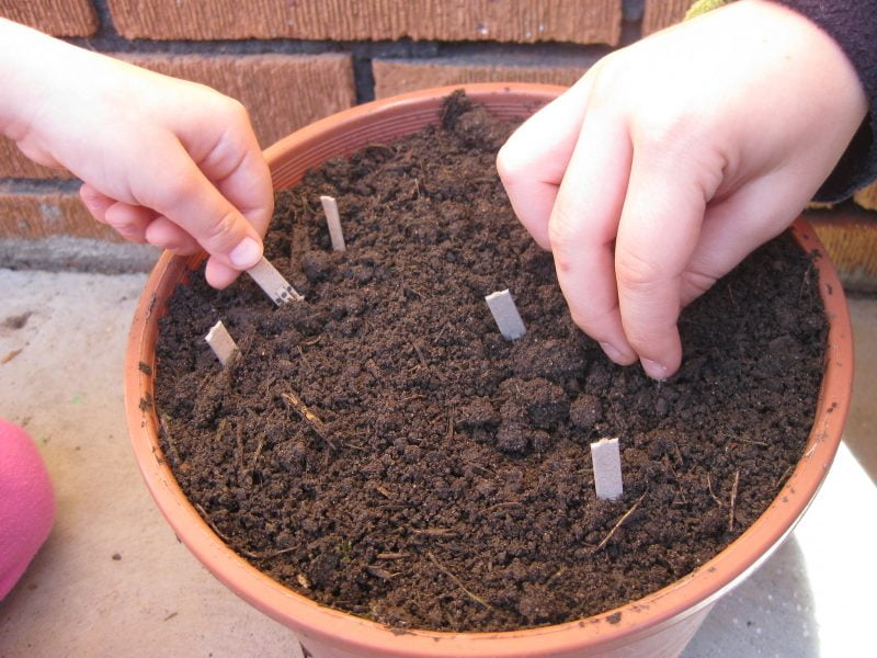 Sustainability Examples in Everyday Life - SUSTAINABLEECHO